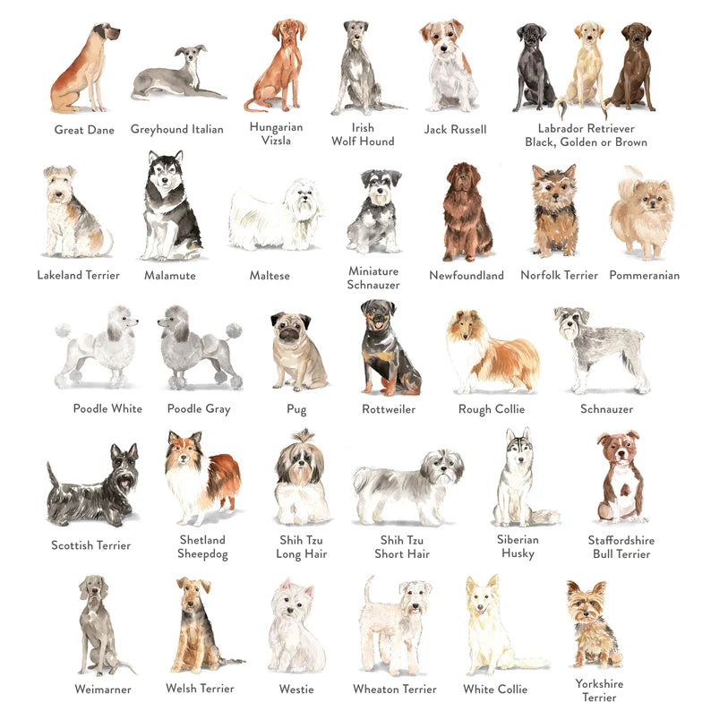 Full Color Slim Can Cooler #15FS - I Do Too – Sycamore Studios